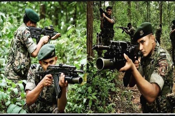 COBRA Commando Force Deployed In Kashmir Forests