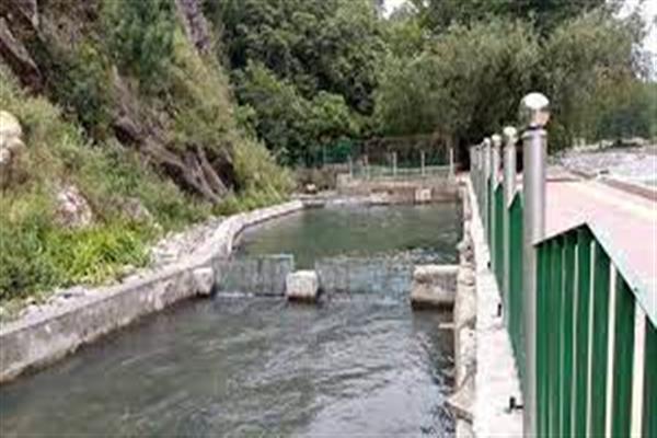 Scanty Snowfall: South Kashmir Springs Run Dry